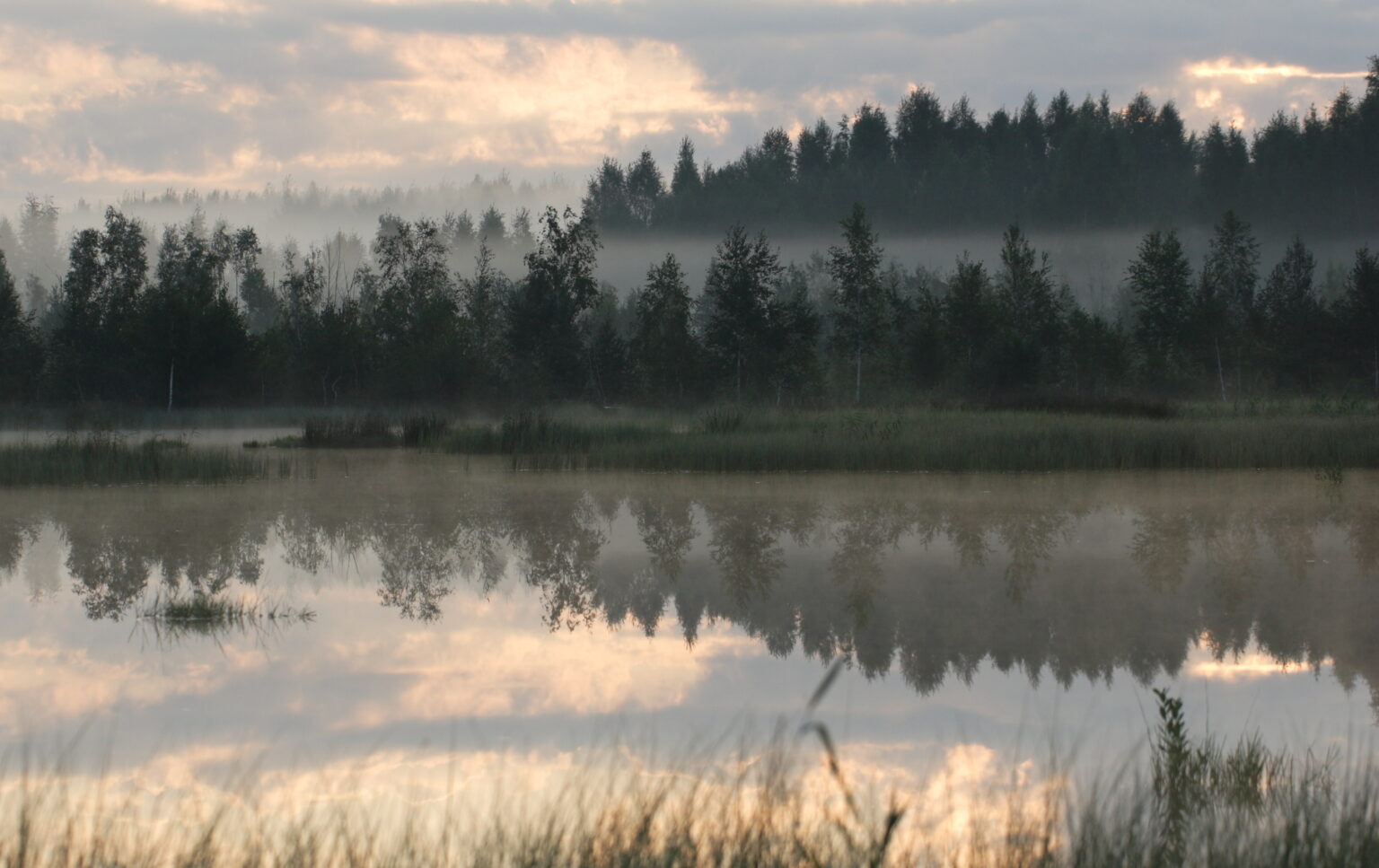 LIFE Peatcarbon, Peatland restoration for greenhouse gas emission ...